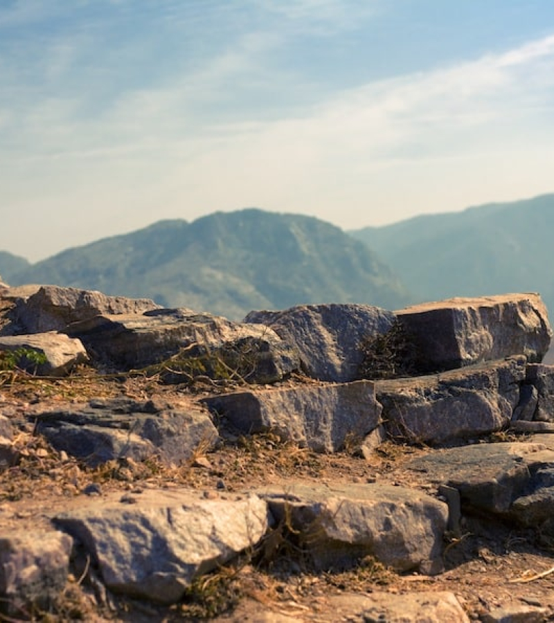 ERP and Accounting Management Archives - Build Consulting